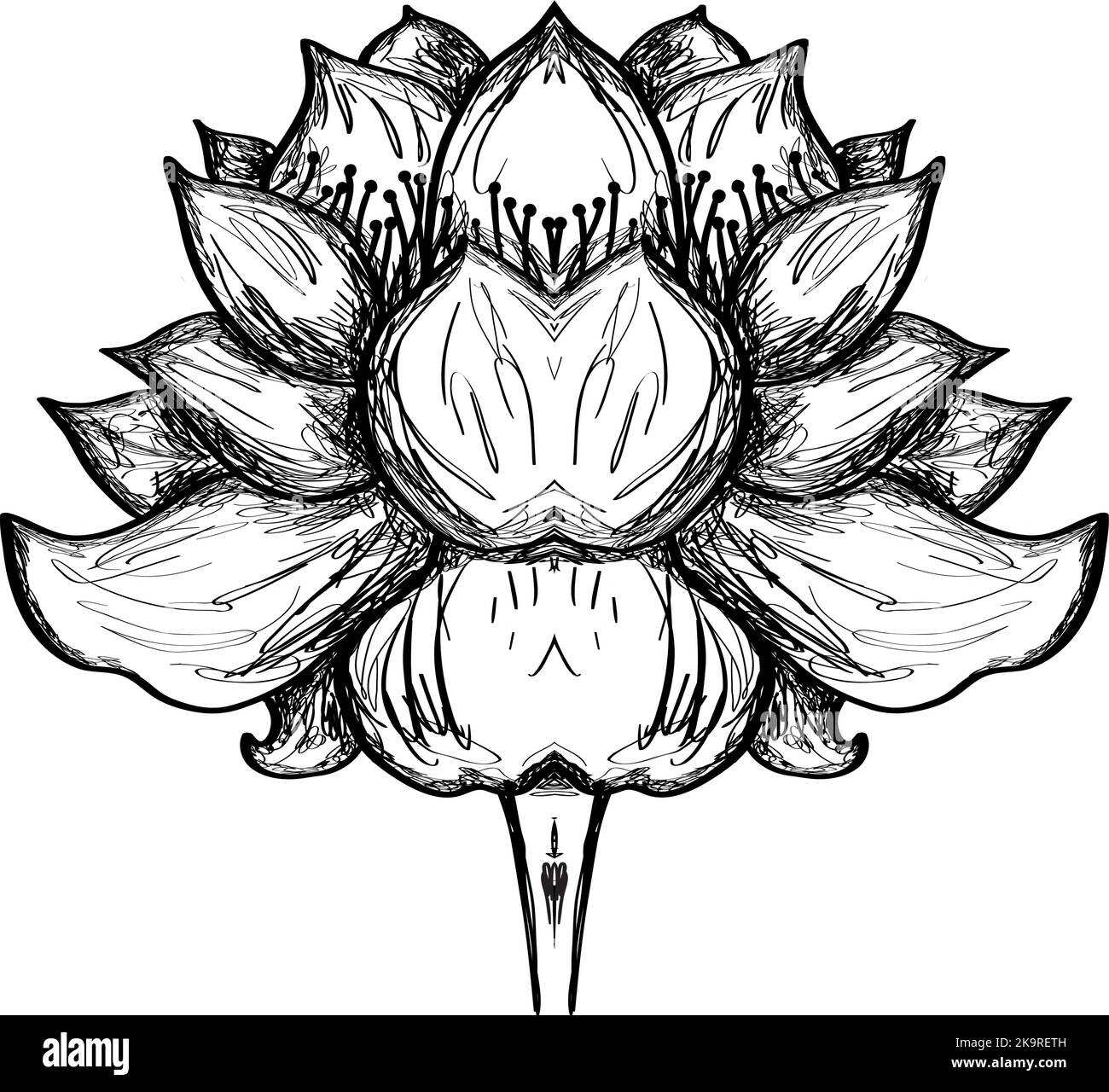 Stylized lotus flower. Vector illustration. Element for design Stock ...