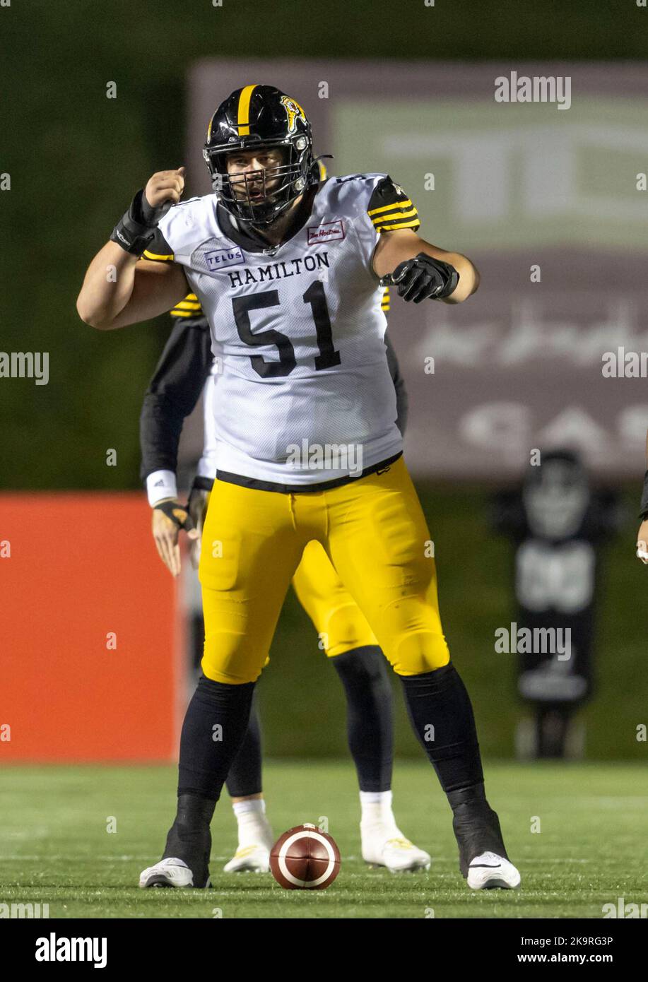 Tiger beard hi-res stock photography and images - Alamy