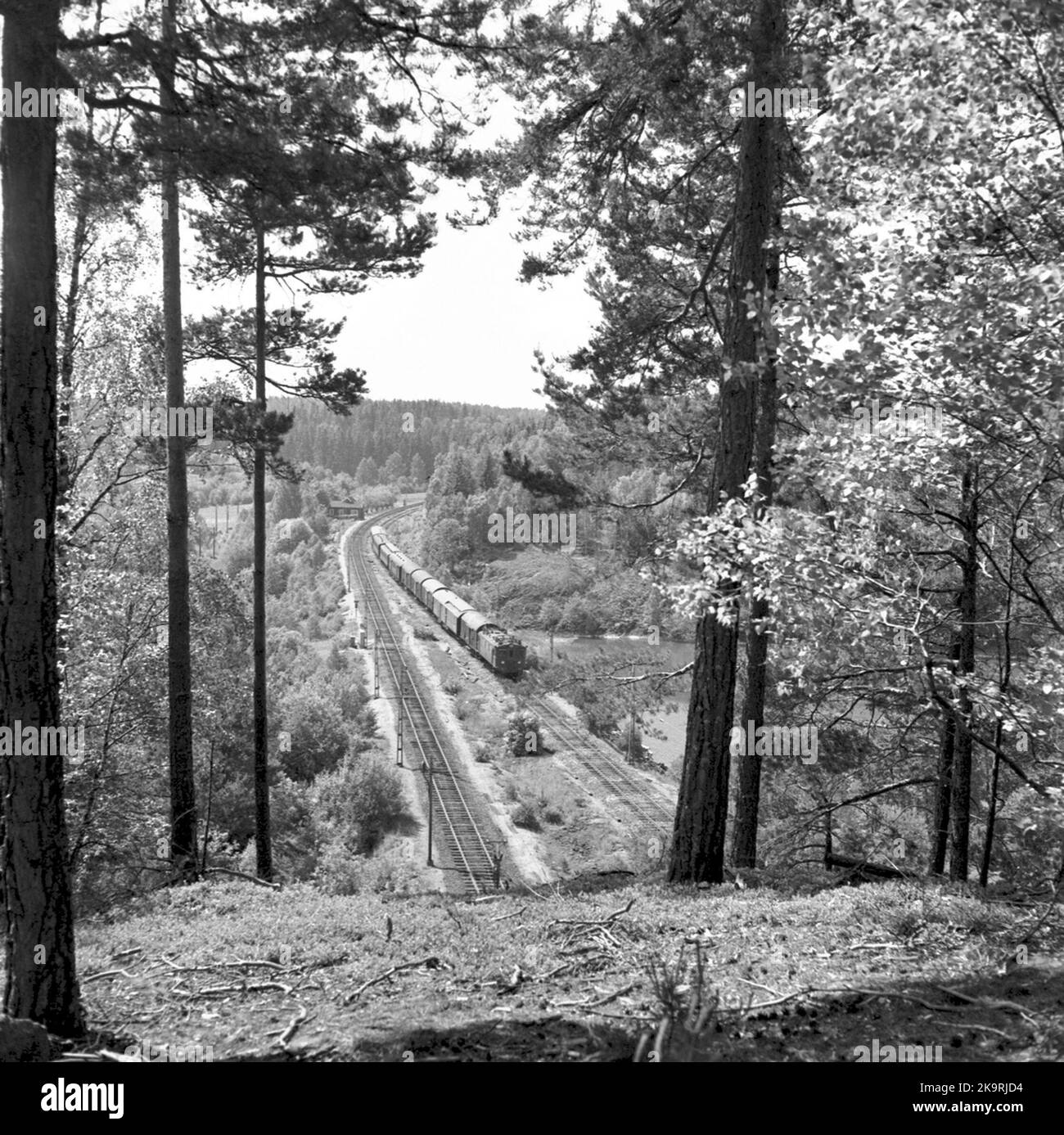 Sjd hi-res stock photography and images - Alamy