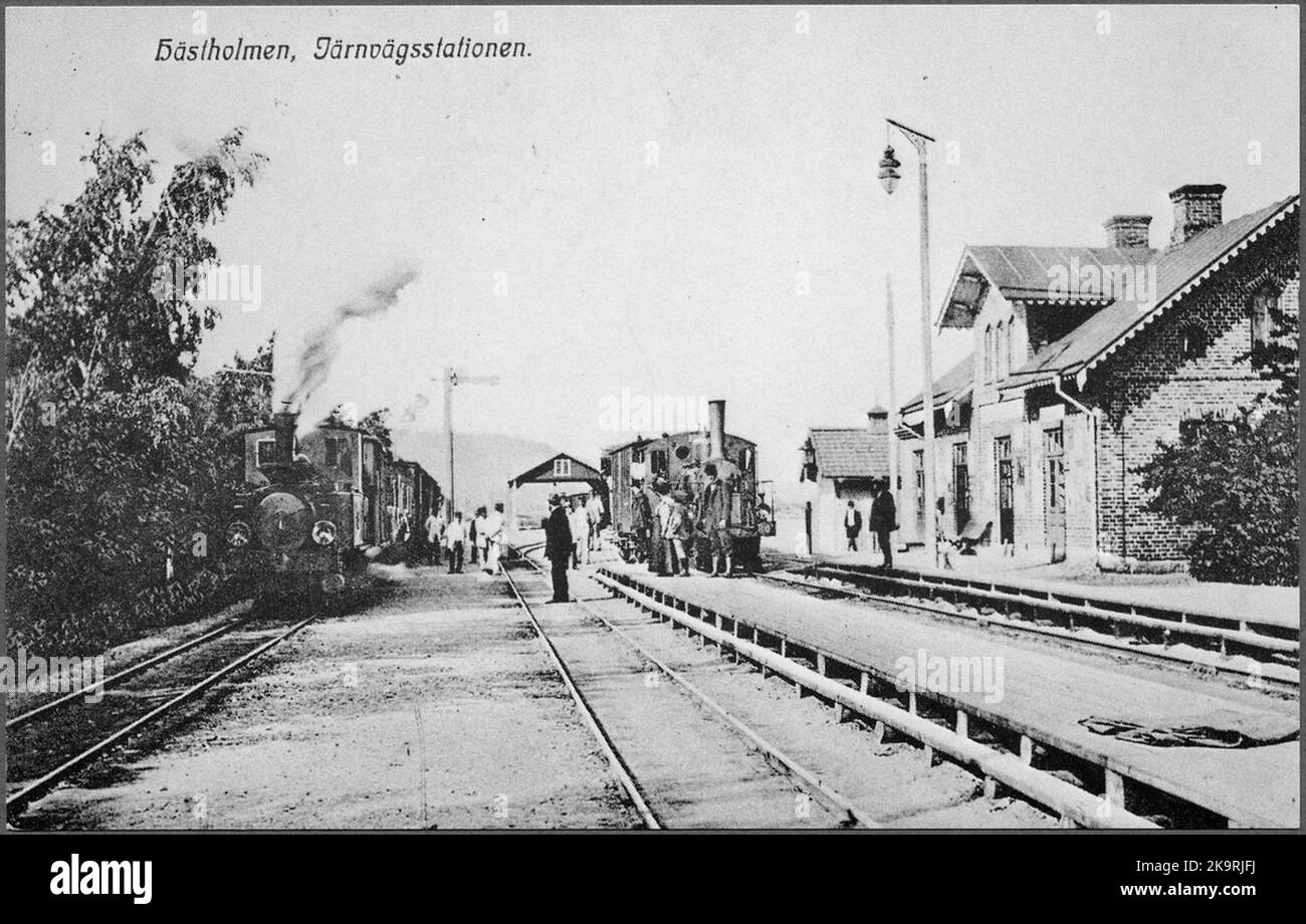 Train meeting at Hästholmens station. To the left narrow track and to ...