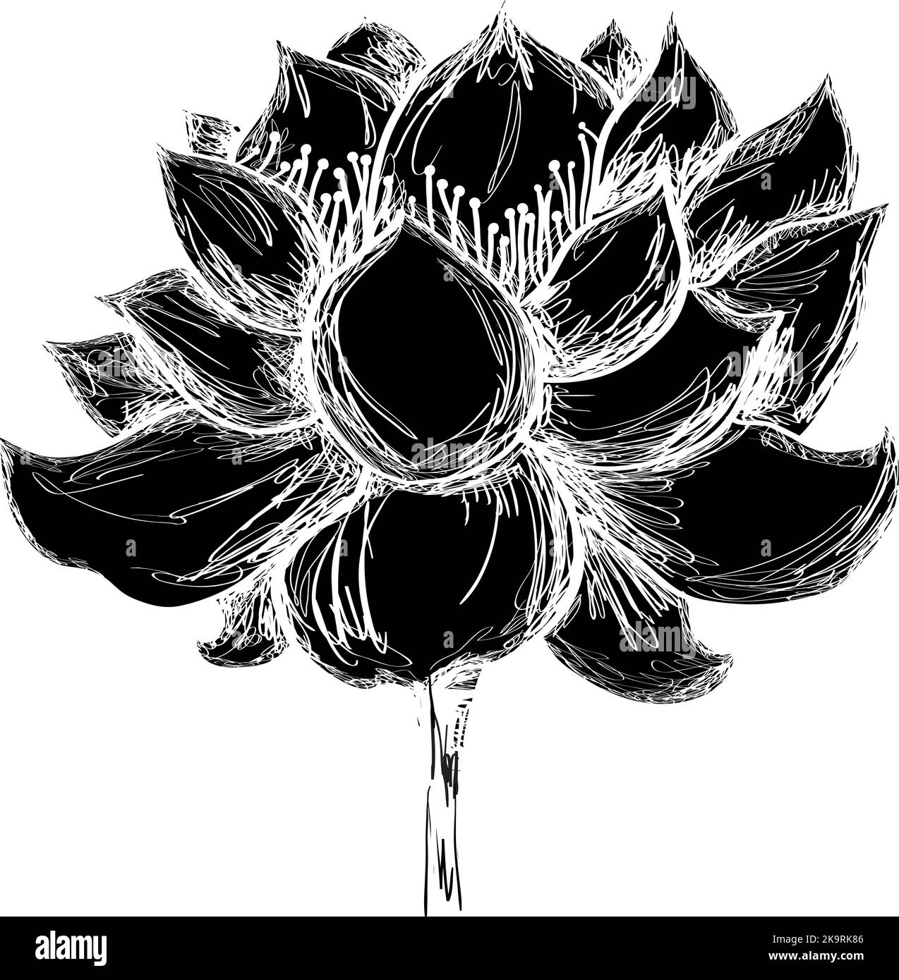 Stylized lotus flower. Vector illustration. Element for design Stock Vector Image & Art - Alamy
