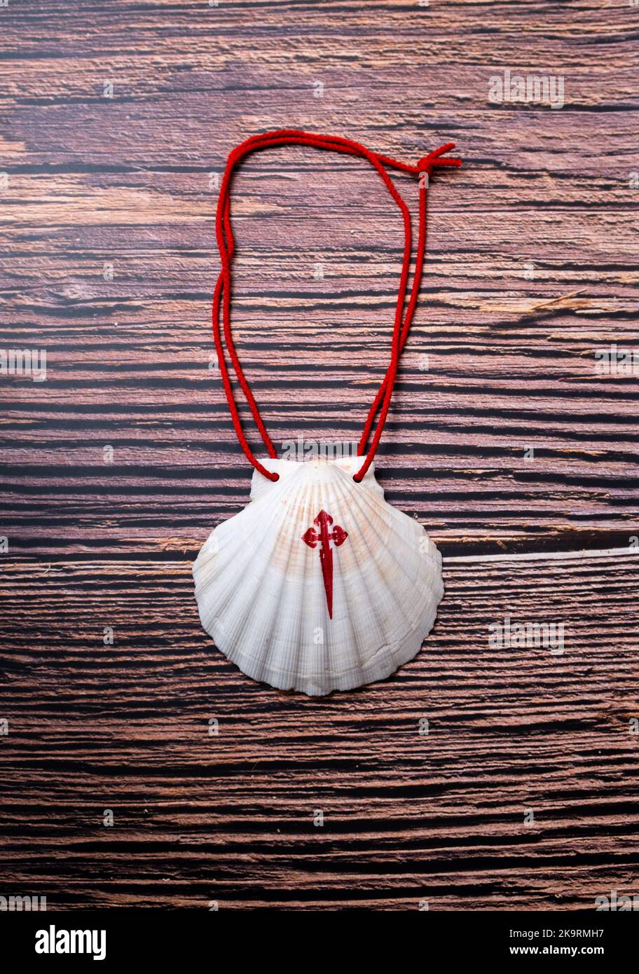 Pilgrim Scallop shells with the Cross of the Order of Santiago. Typical ...