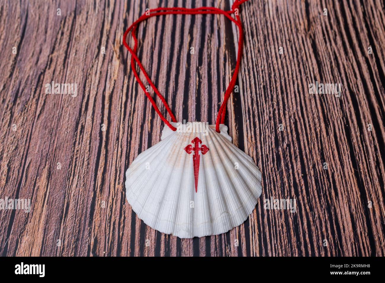 Pilgrim Scallop shells with the Cross of the Order of Santiago. Typical ...
