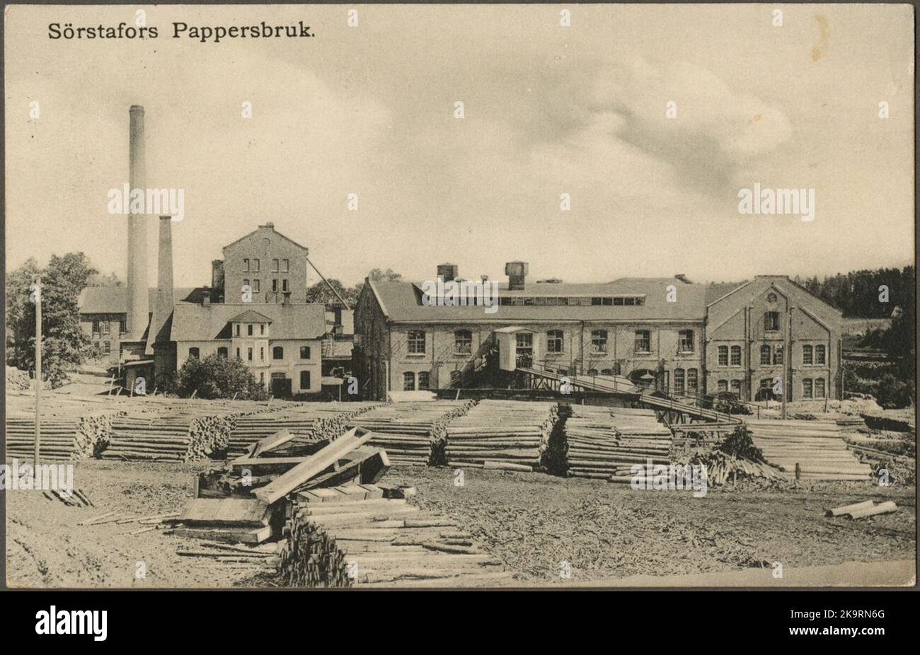 Paper mill with timber layer Stock Photo - Alamy