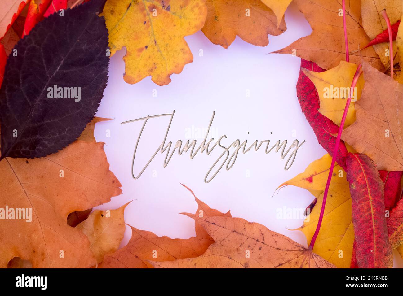 Autumn leaves, objects with Thanksgiving text. Natural patterns, color ...