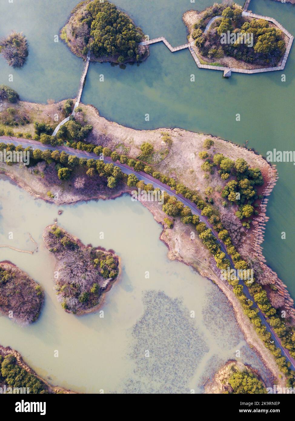 Aerial view, forests and lakes Stock Photo - Alamy