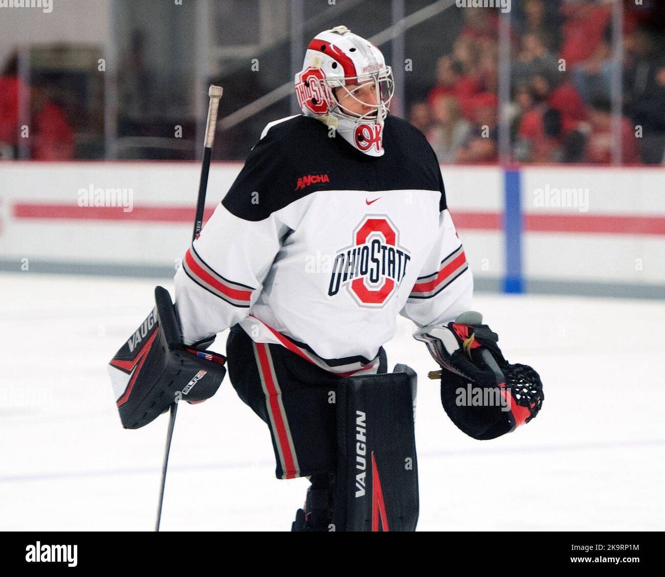 Columbus, Ohio, USA. 29th Oct, 2022. Ohio State Buckeyes goaltender ...
