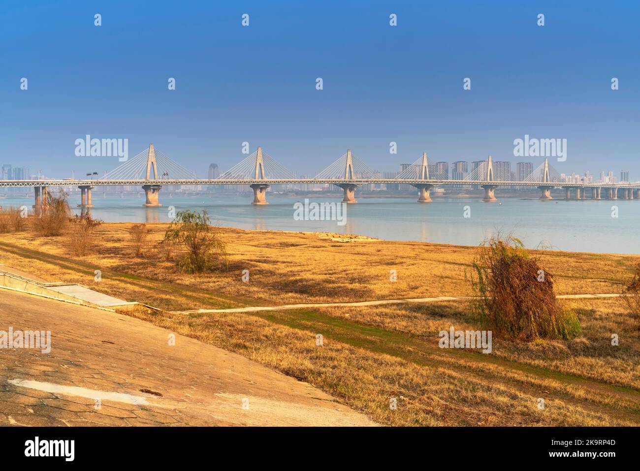 yangtze river cable stayed bridge Stock Photo - Alamy