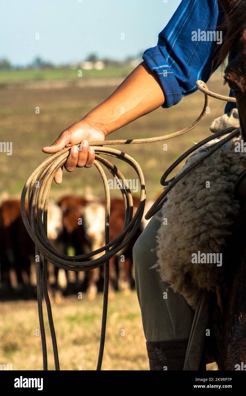 detail of a cowboy with the lasso in his hand. this worker from the ...