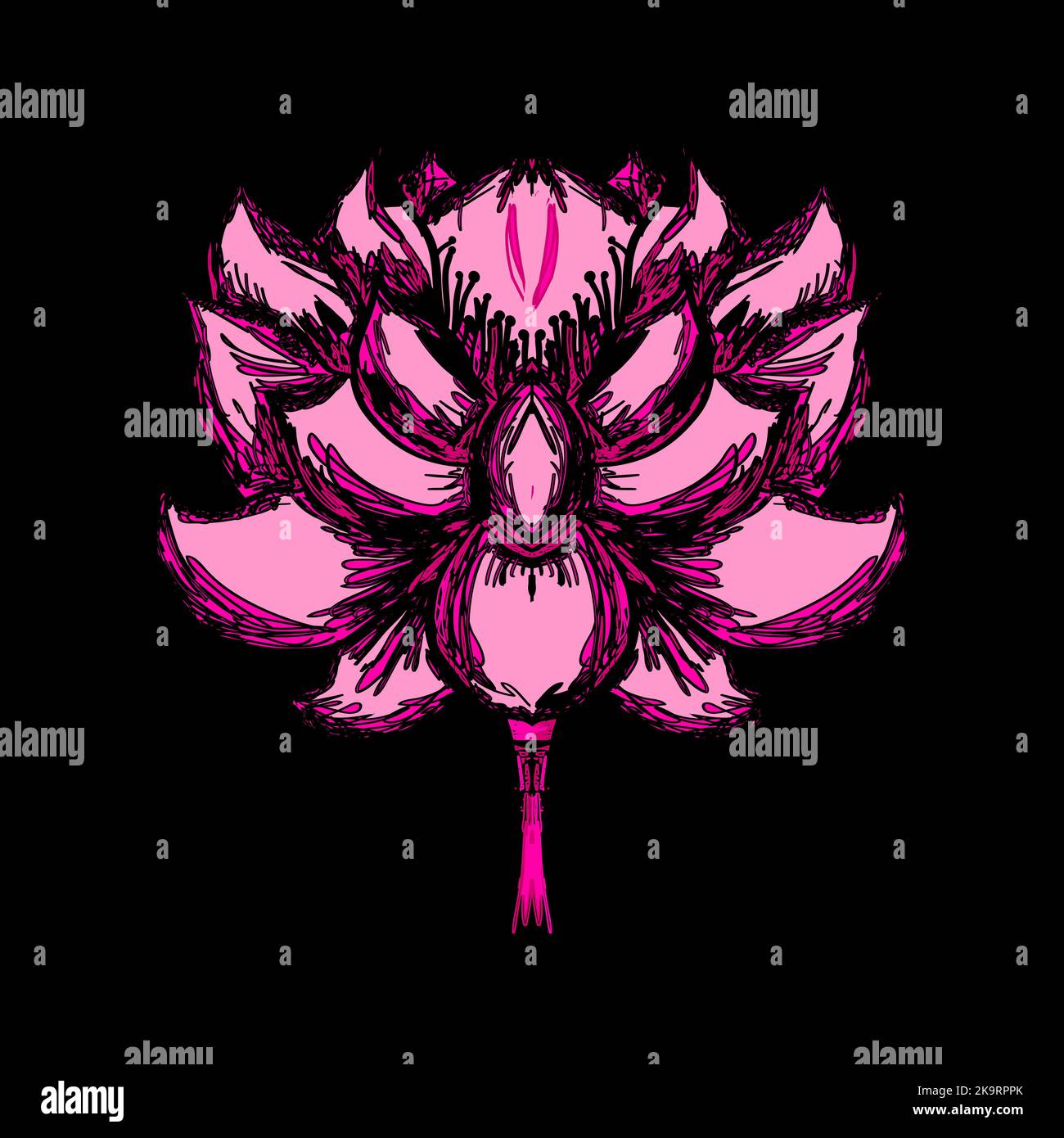 Stylized lotus flower. Vector illustration. Element for design Stock Vector Image & Art - Alamy