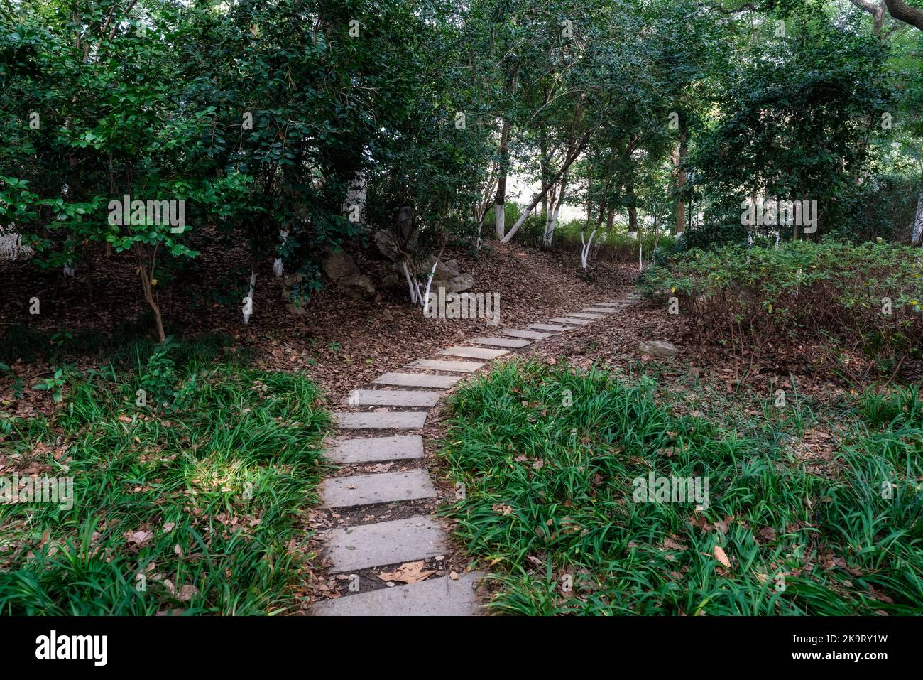 The road of City Park in China Stock Photo - Alamy