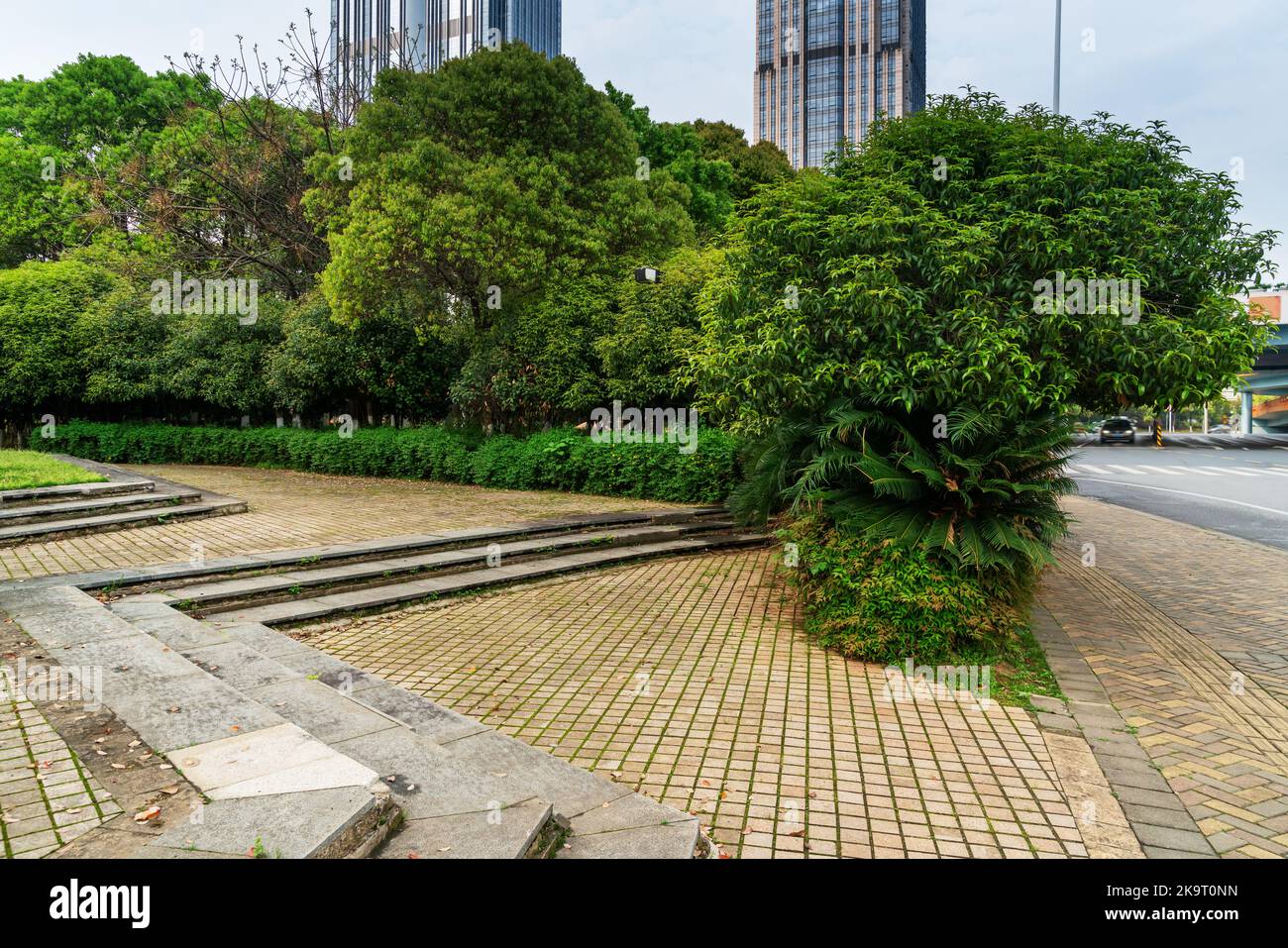 city park with modern building background in shanghai Stock Photo - Alamy