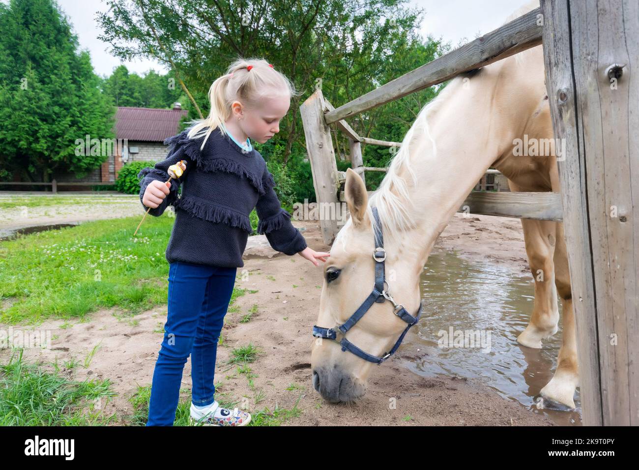 little girl near horse and other animals Stock Photo - Alamy