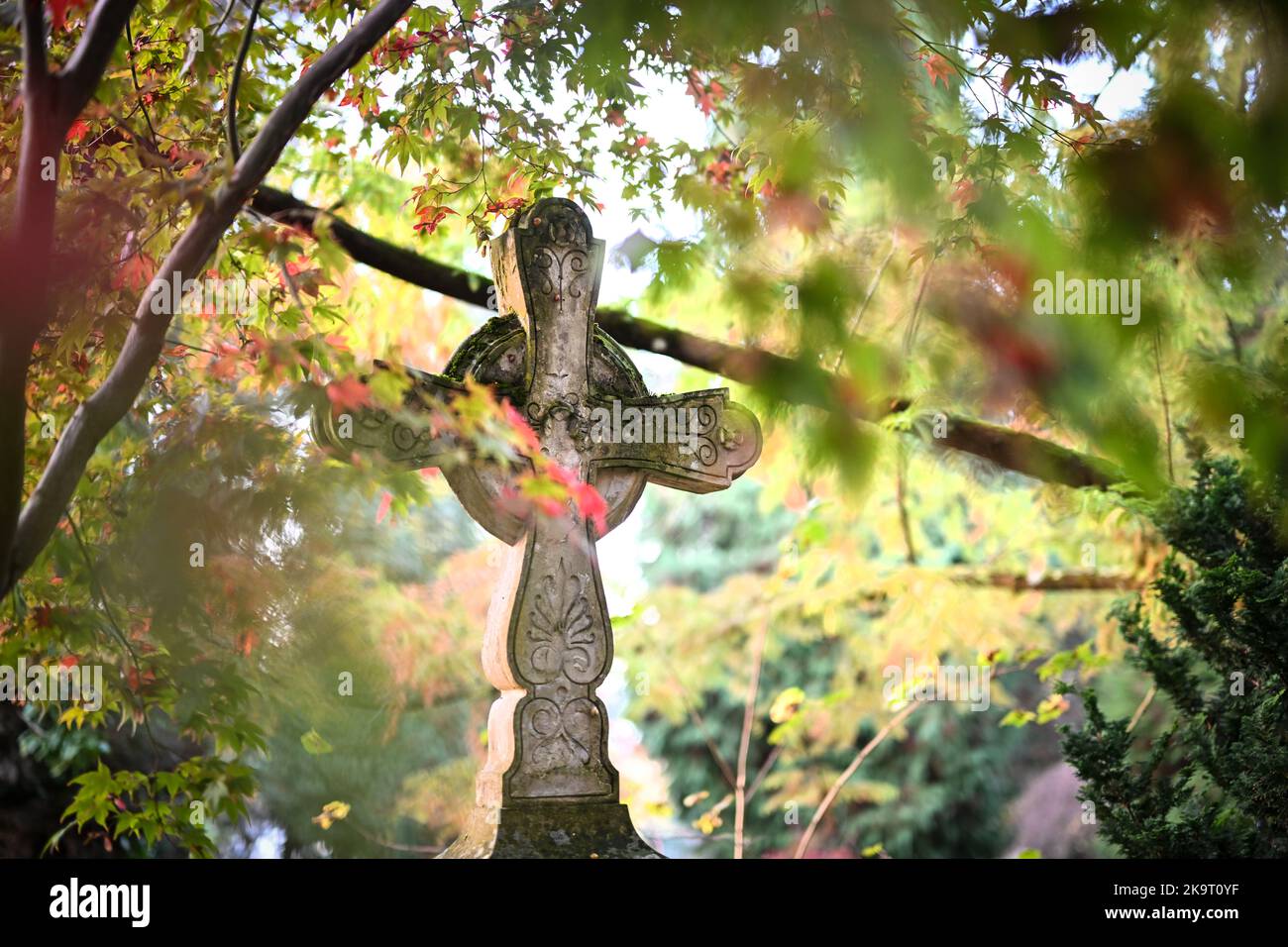 Ravensburg, Germany. 22nd Oct, 2022. A gravestone stands between trees ...