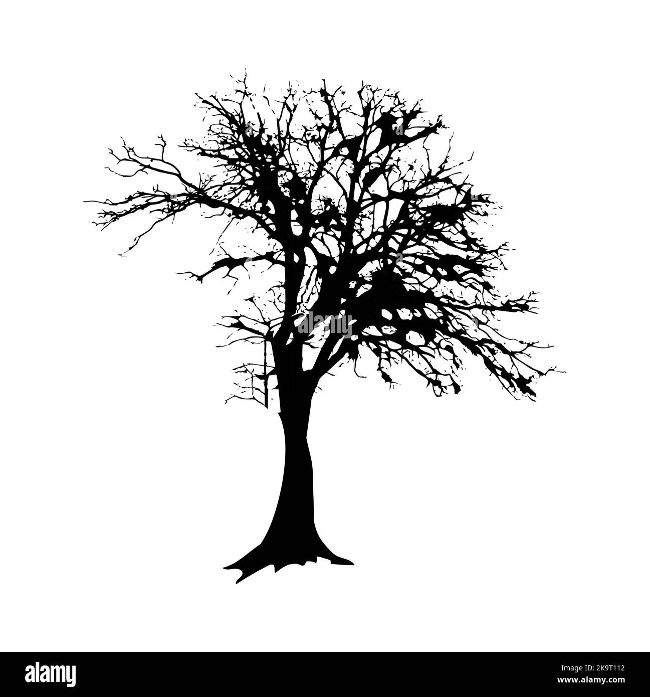 Black Tree Silhouette Transparent