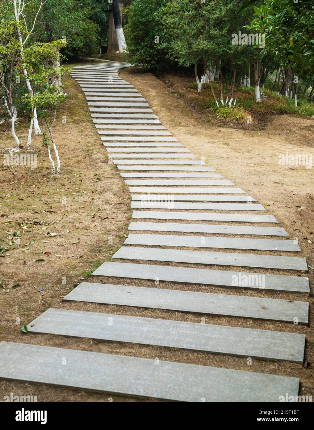 Walkways, concrete slabs lined up in lawns, beautiful designs, garden ...