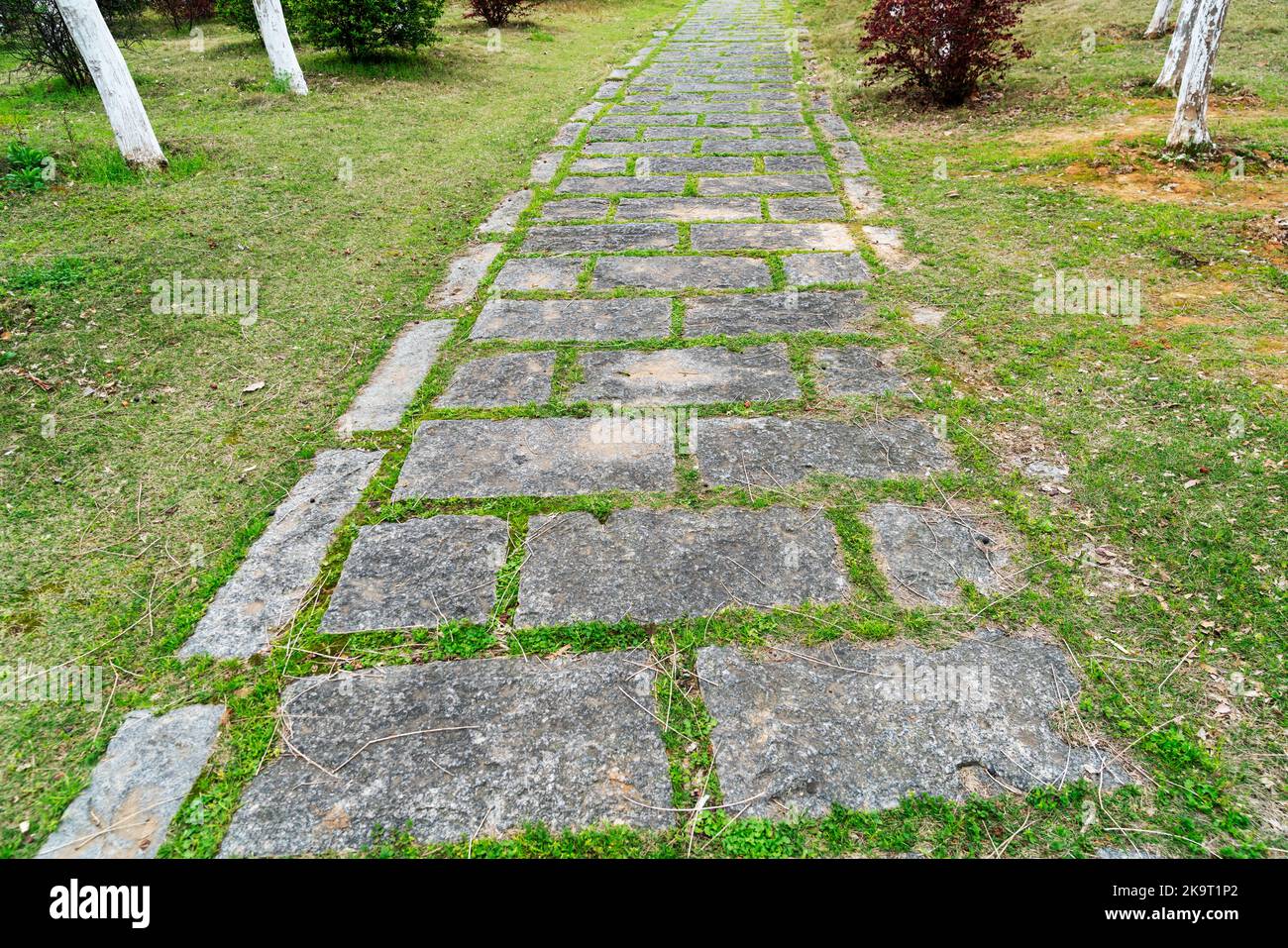 Walkways, concrete slabs lined up in lawns, beautiful designs, garden ...
