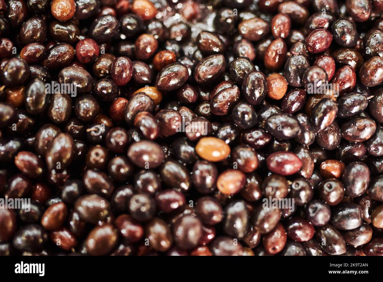 Olives for days. numerous amounts of red olives being displayed at a ...