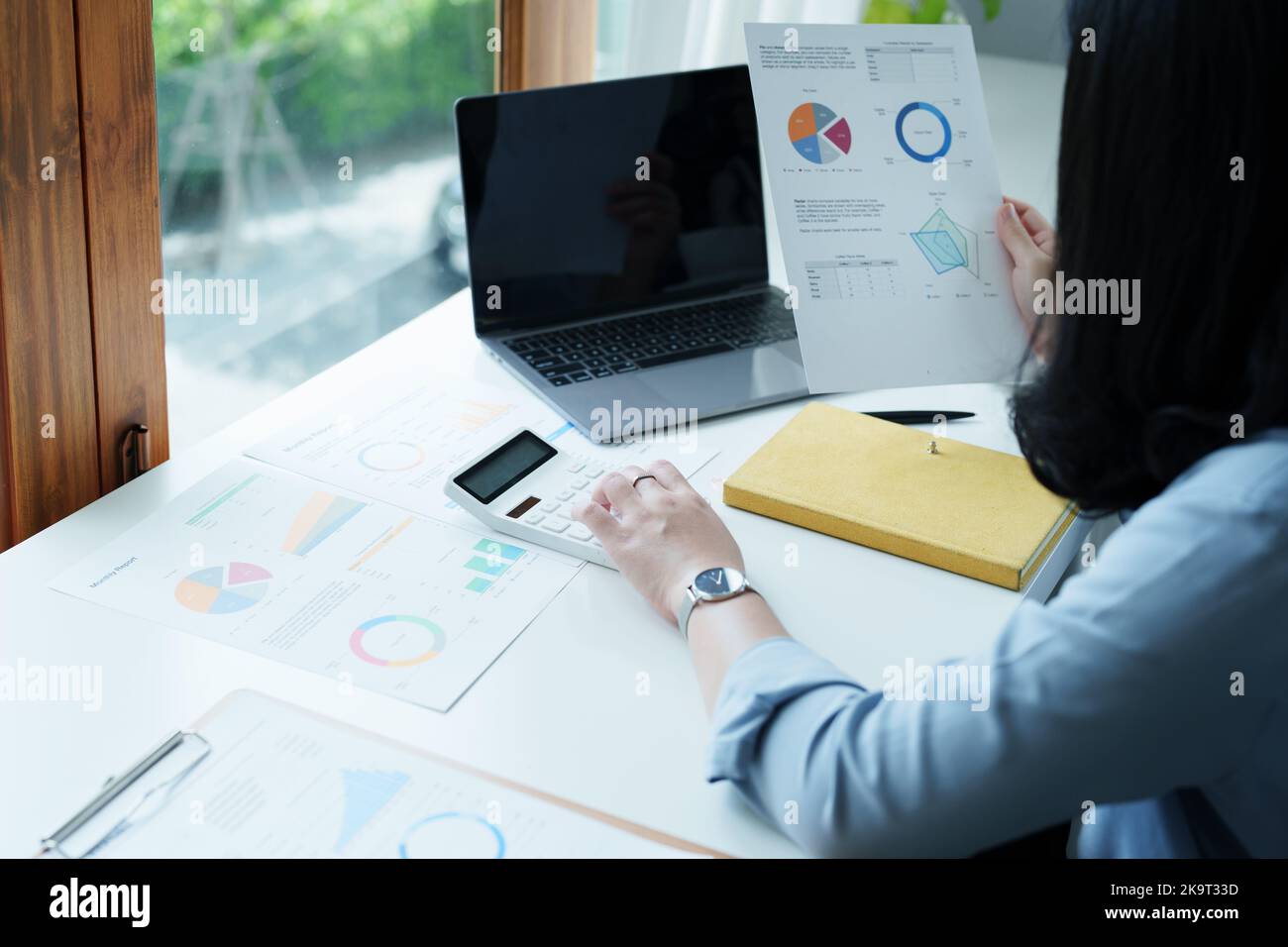 financial, Planning, Marketing and Accounting, portrait of Asian ...