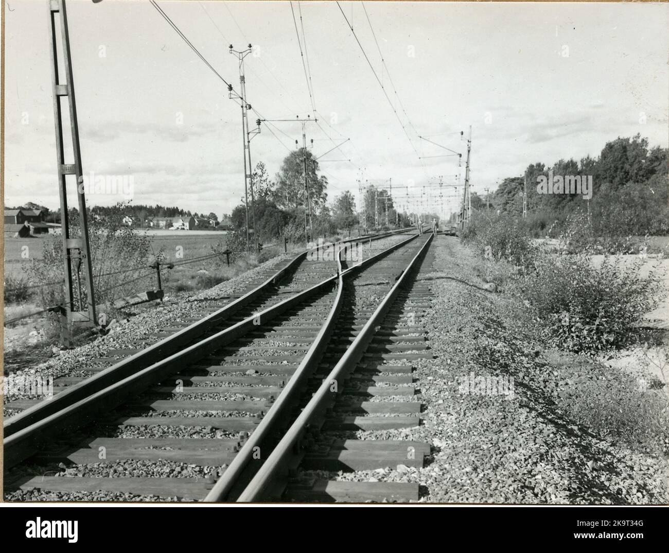 A simple track gear with branch and trunk tracks Stock Photo - Alamy