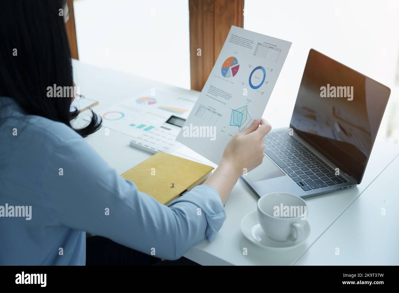 financial, Planning, Marketing and Accounting, portrait of Asian ...