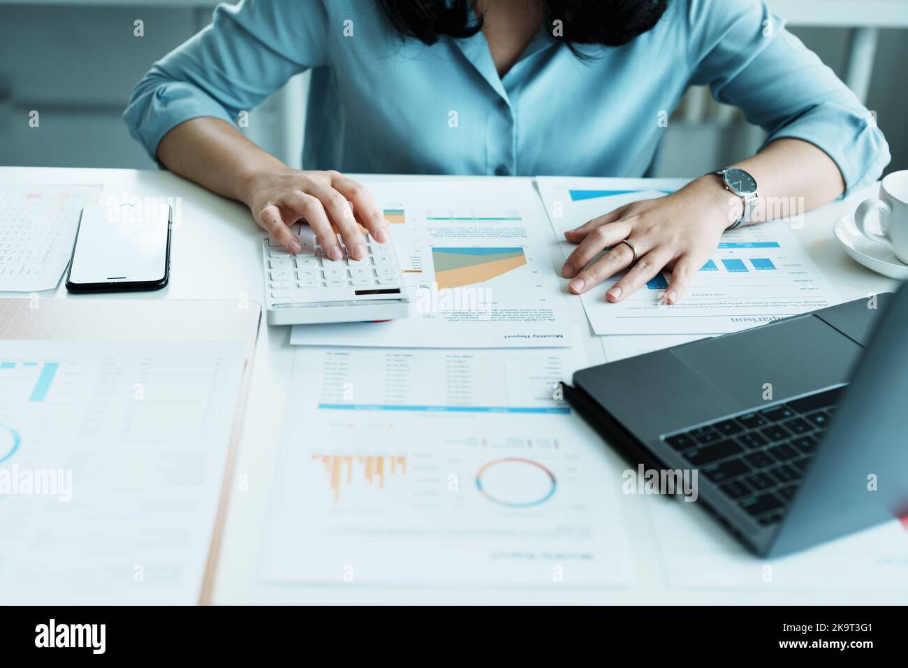 financial, Planning, Marketing and Accounting, portrait of Asian ...