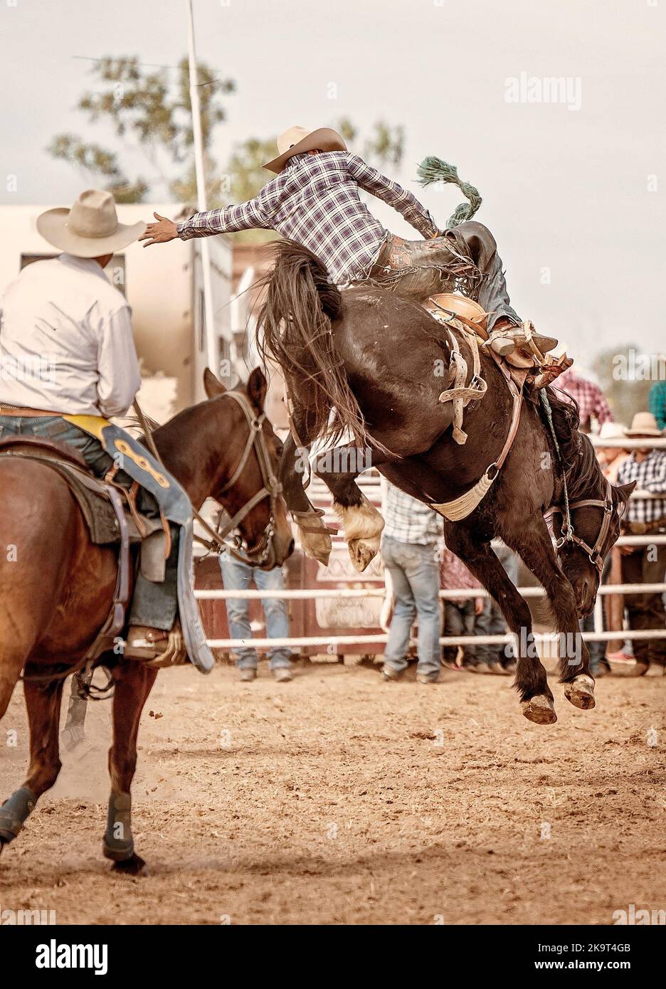 Cowboy riding a bucking saddle bronc at a country rodeo Australia Stock ...