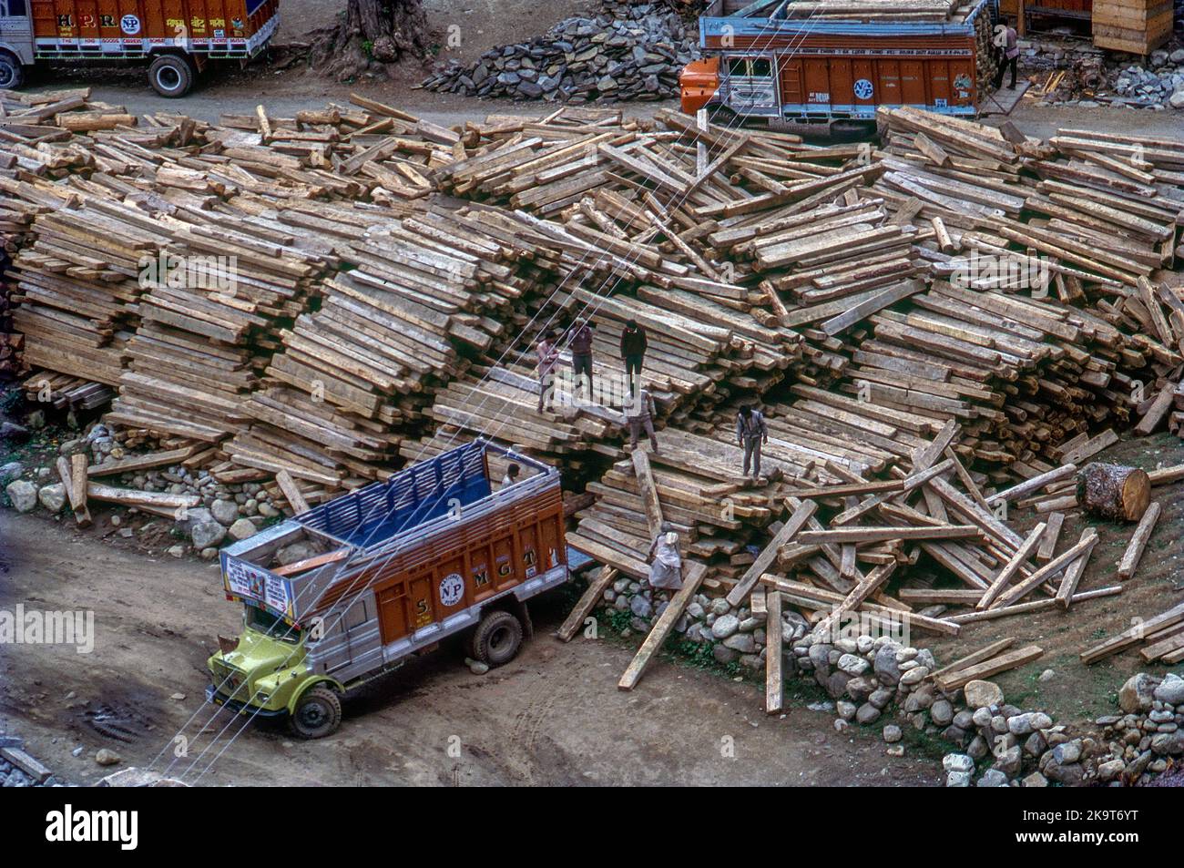 Truck loading in timber factory Stock Photo - Alamy