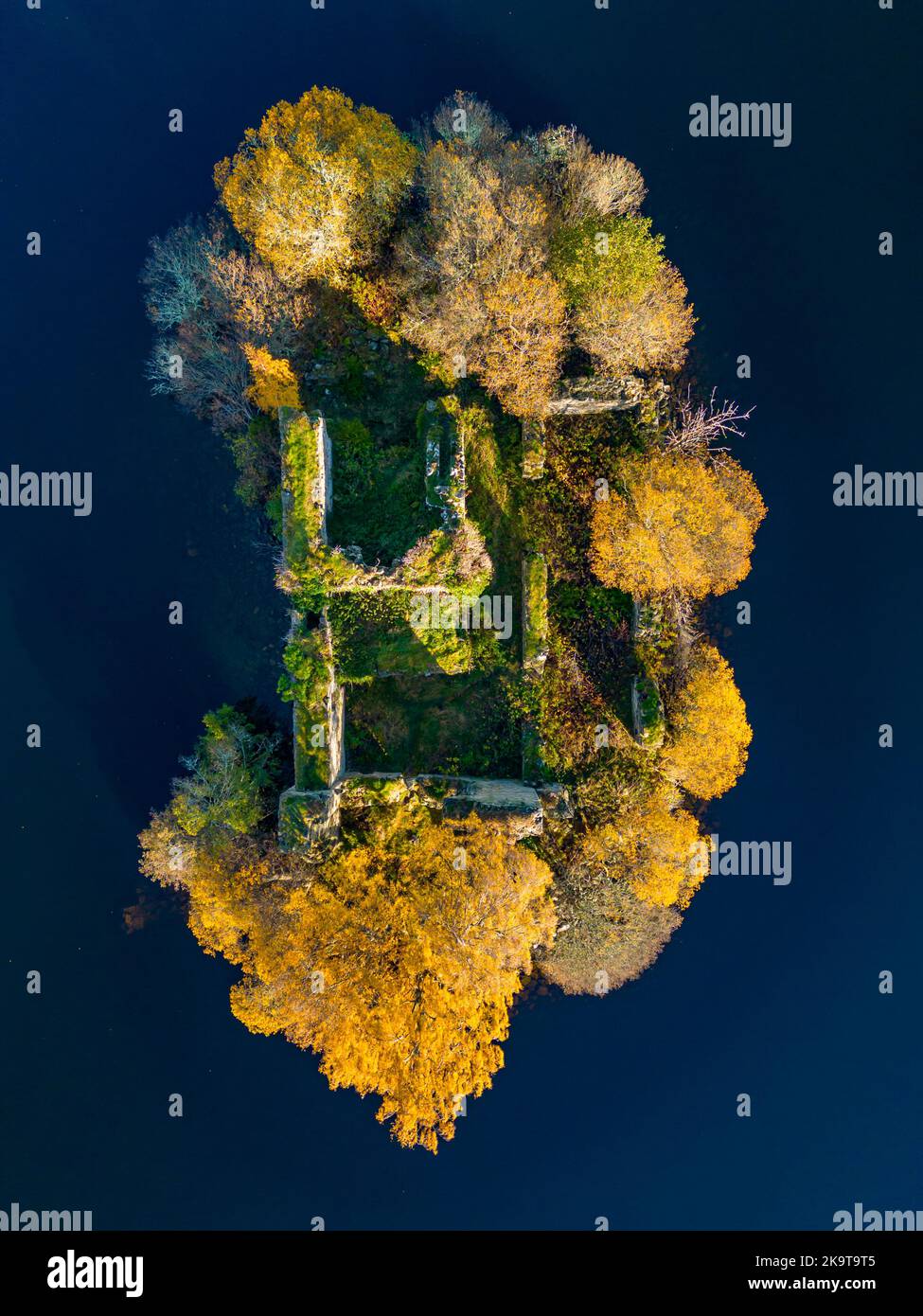 Aerial view of late autumn colours at ruined castle on island on Loch ...