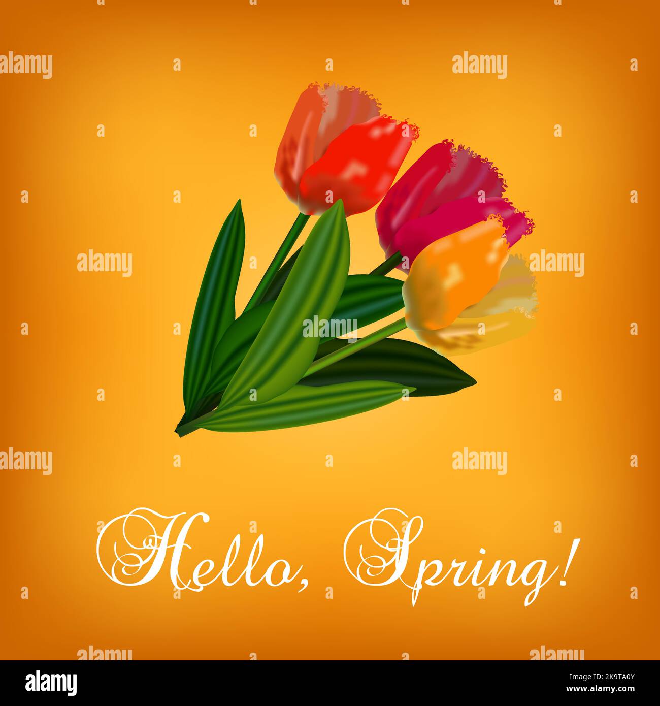 Spring bright tulip flowers on blurred golden background. Hello spring ...