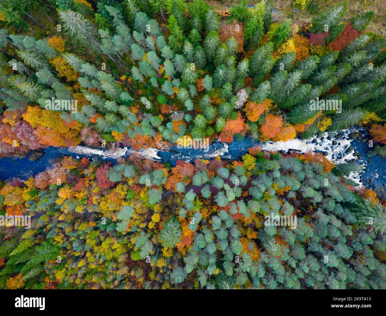 Views of spectacular autumn colours in woodland beside the River Braan ...