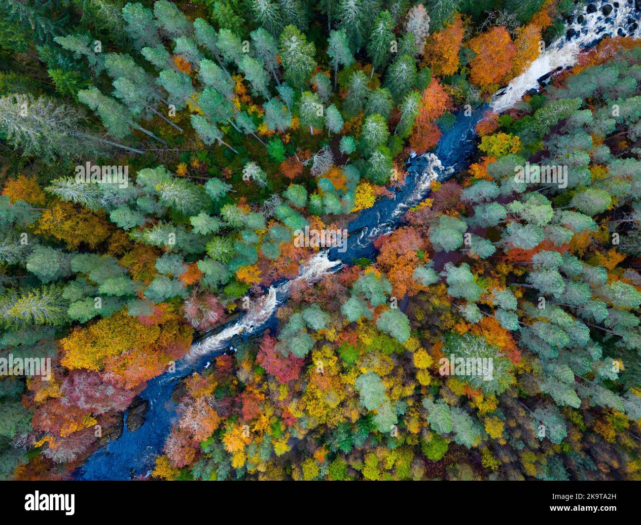 Views of spectacular autumn colours in woodland beside the River Braan ...