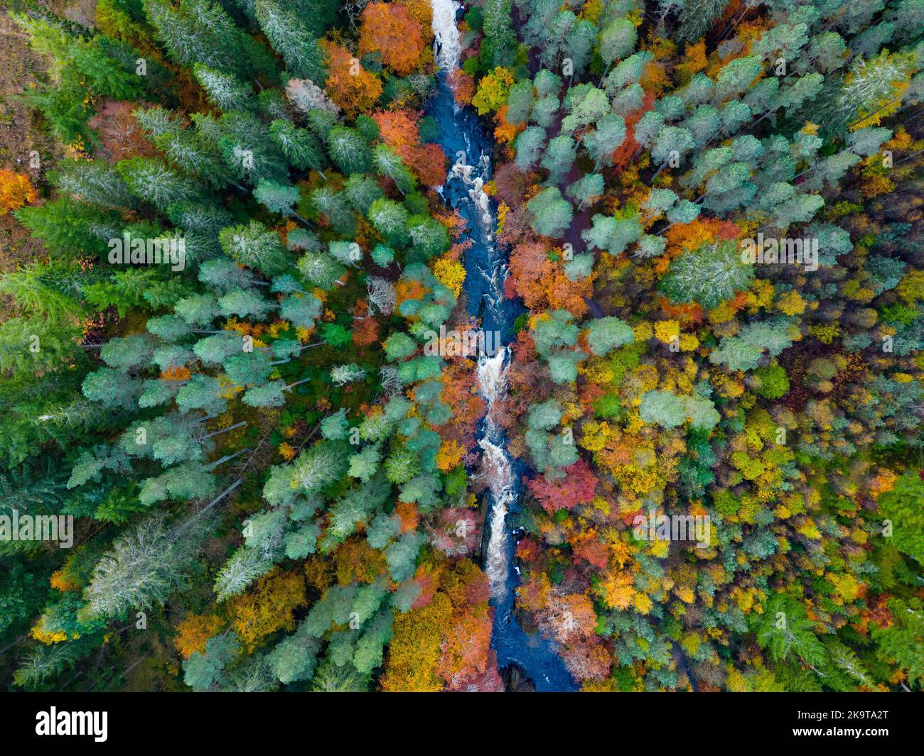 Views of spectacular autumn colours in woodland beside the River Braan ...