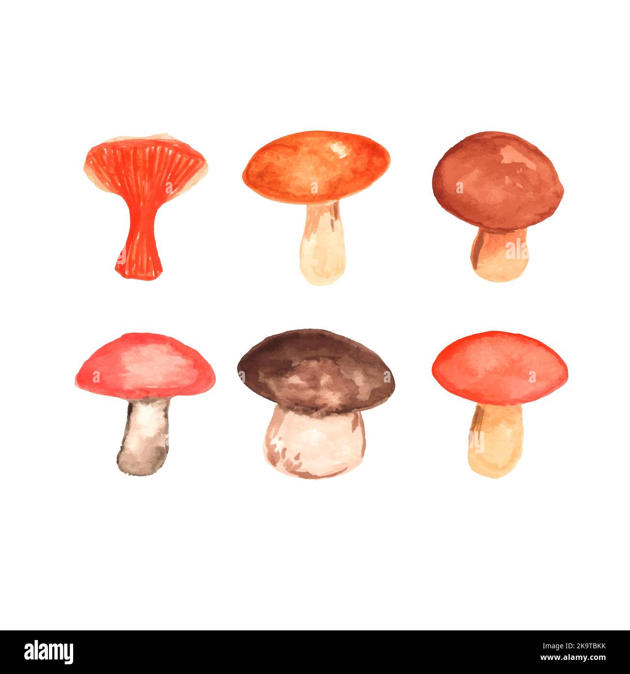 Group raw mushrooms Stock Vector Images - Alamy