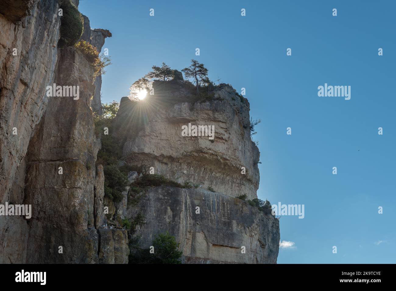 Landscape of a wild and preserved valley, canyon in the Cevennes ...