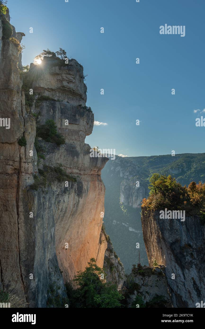 Landscape of a wild and preserved valley, canyon in the Cevennes ...