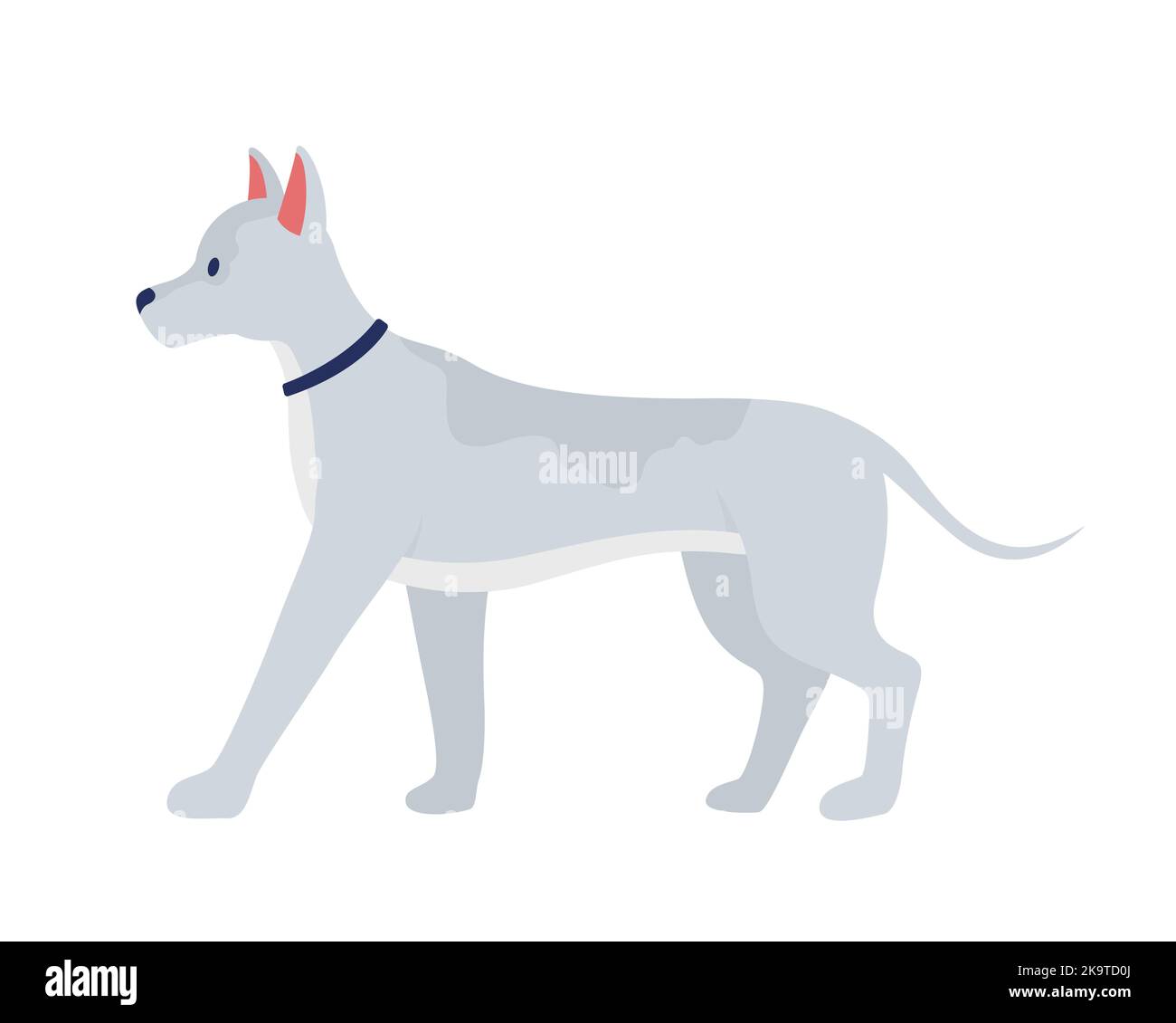 Semi purebred Stock Vector Images - Alamy