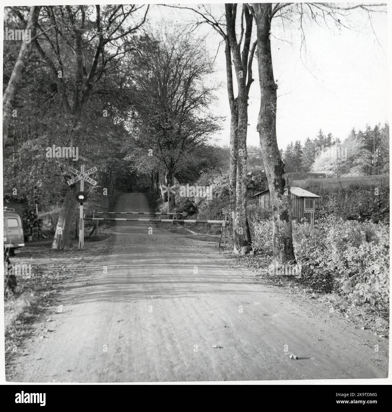 Train railways in forest hi-res stock photography and images - Alamy