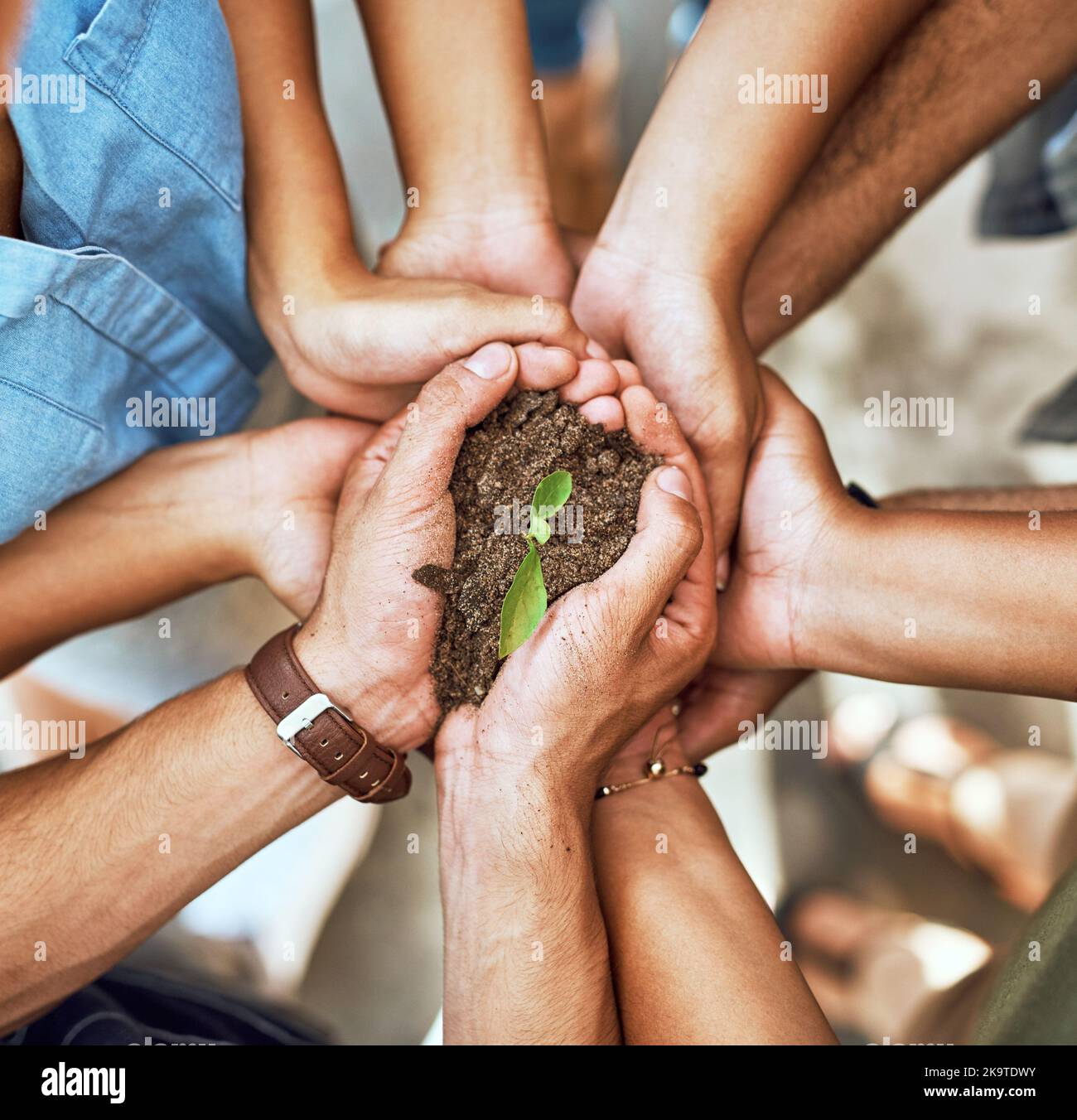 Conceptual shot teamwork people put hi-res stock photography and images ...
