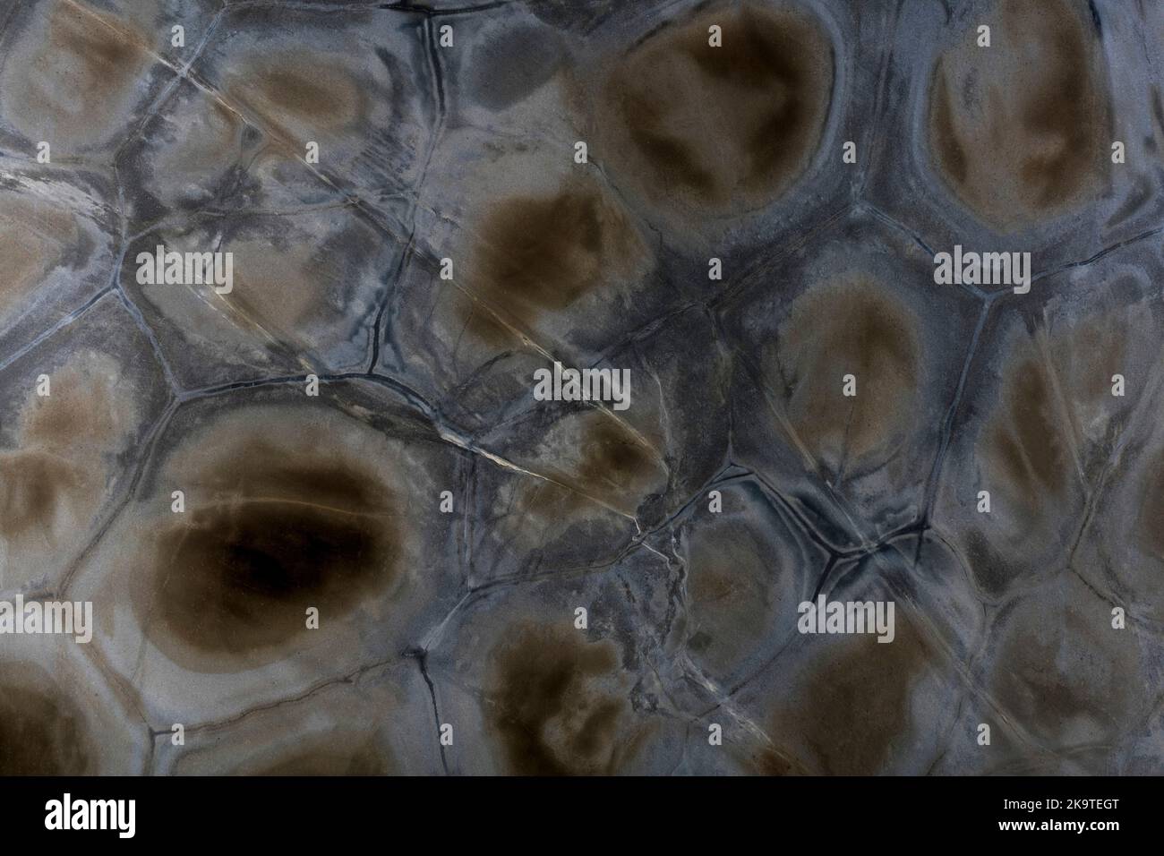 Turtle green - natural quartzite stone texture, photo of slab. Matt ...