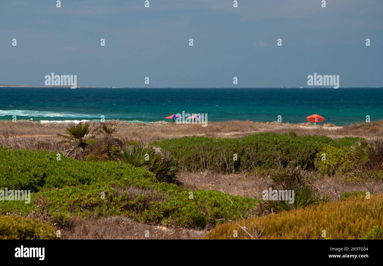 The white beach is arutas hi-res stock photography and images - Alamy