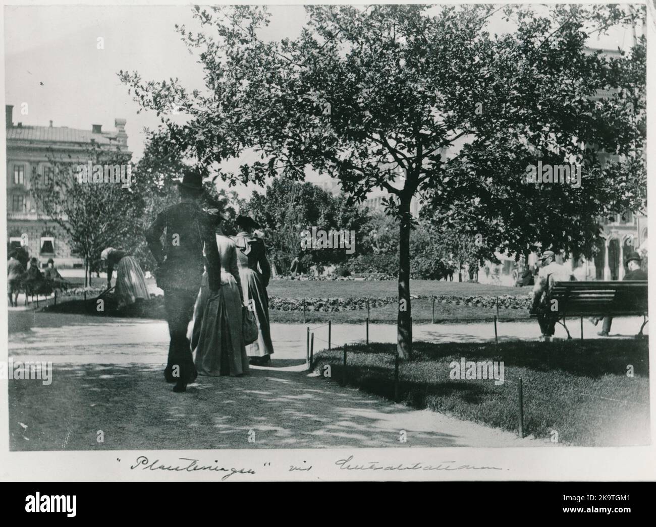 Planting at Stockholm Central Station Stock Photo - Alamy