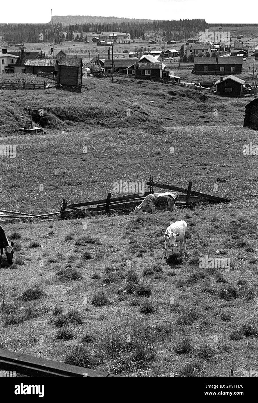 Kor so hi-res stock photography and images - Alamy