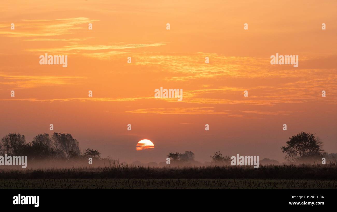 Pahlen, Germany. 30th Oct, 2022. The sun rises in the morning mist over ...