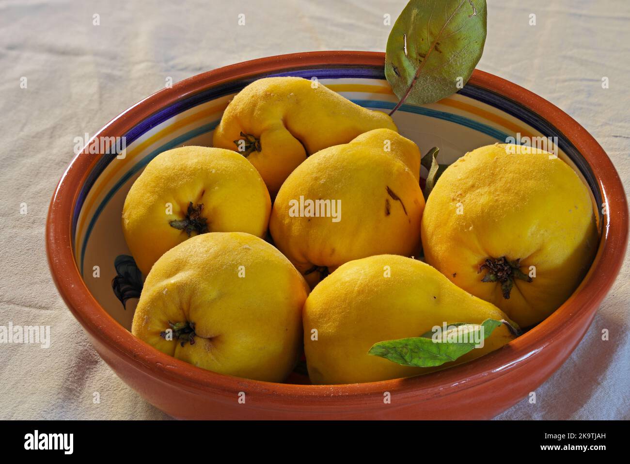 quince fruits in a bowl Stock Photo - Alamy