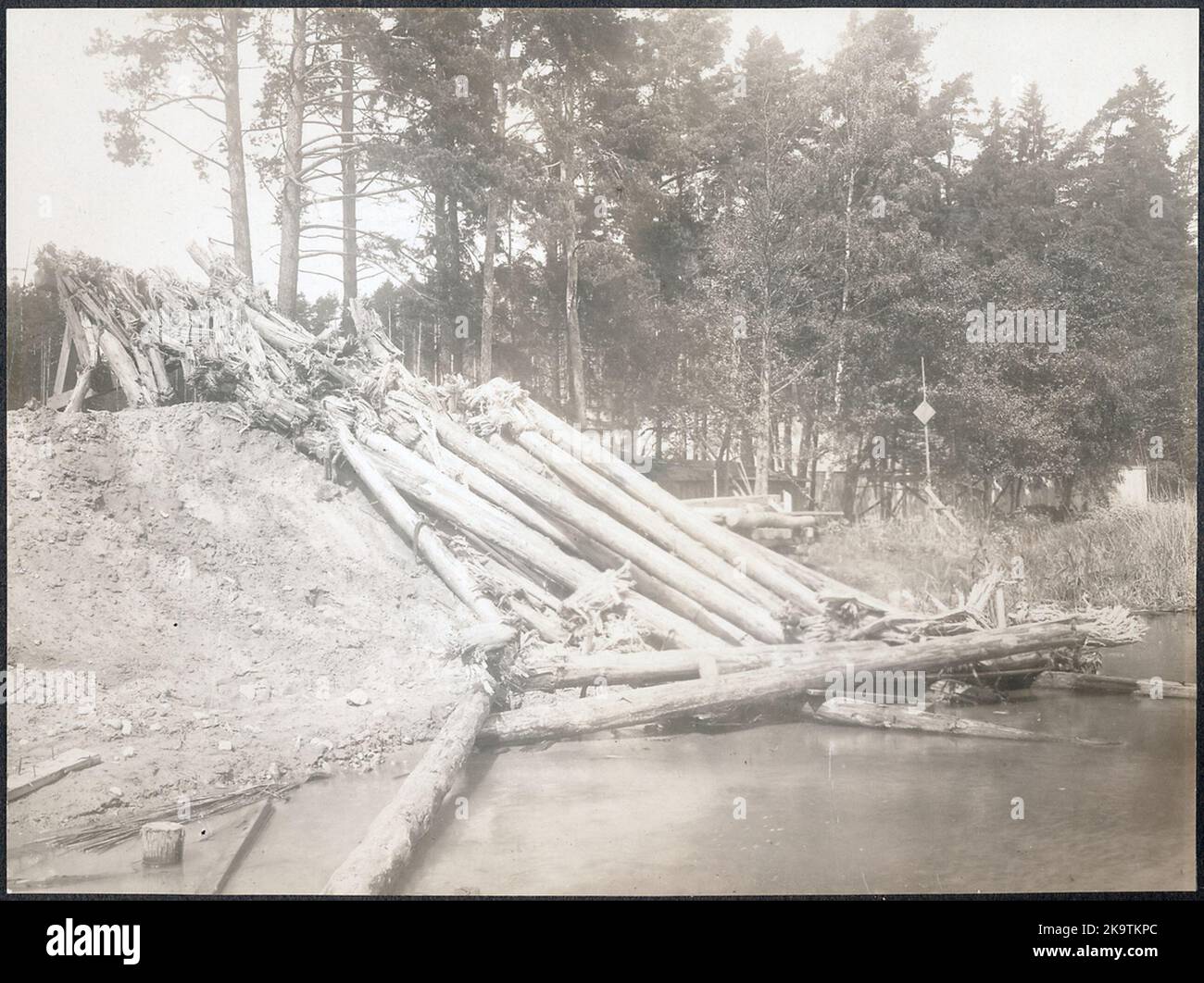 Old piling material Stock Photo - Alamy
