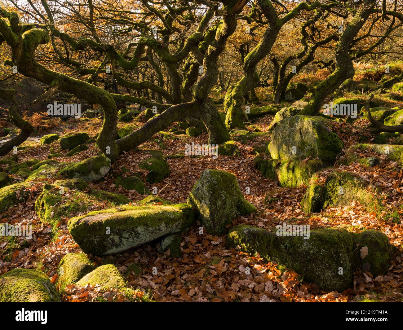 Longshaw estate padley gorge walk hi-res stock photography and images ...