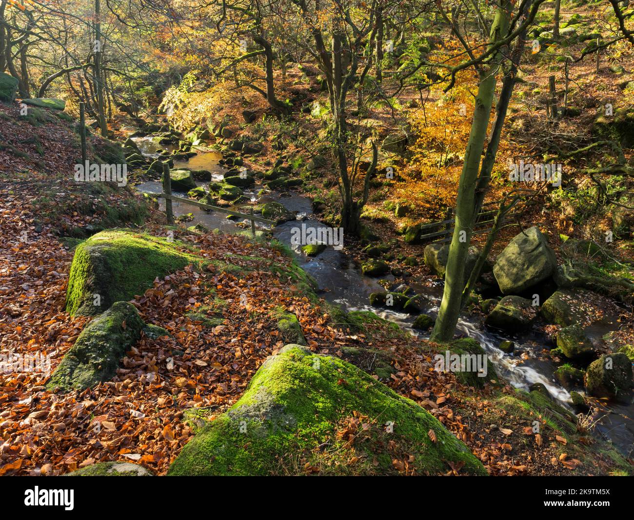 Padley Gorge Peak Distrcit Derbyshire Stock Photo - Alamy