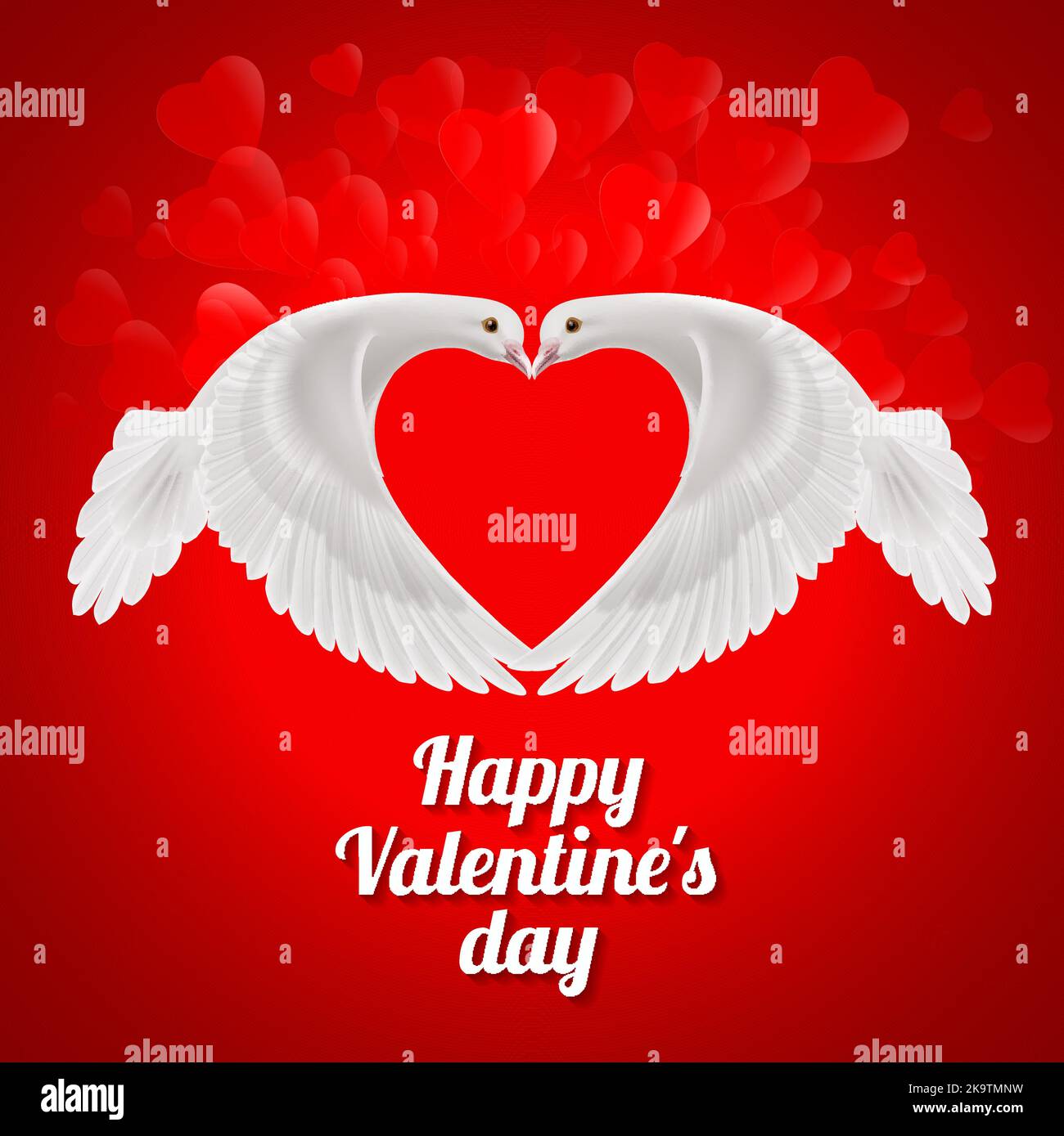 Two white doves make the shape of the wings of the red heart on red ...