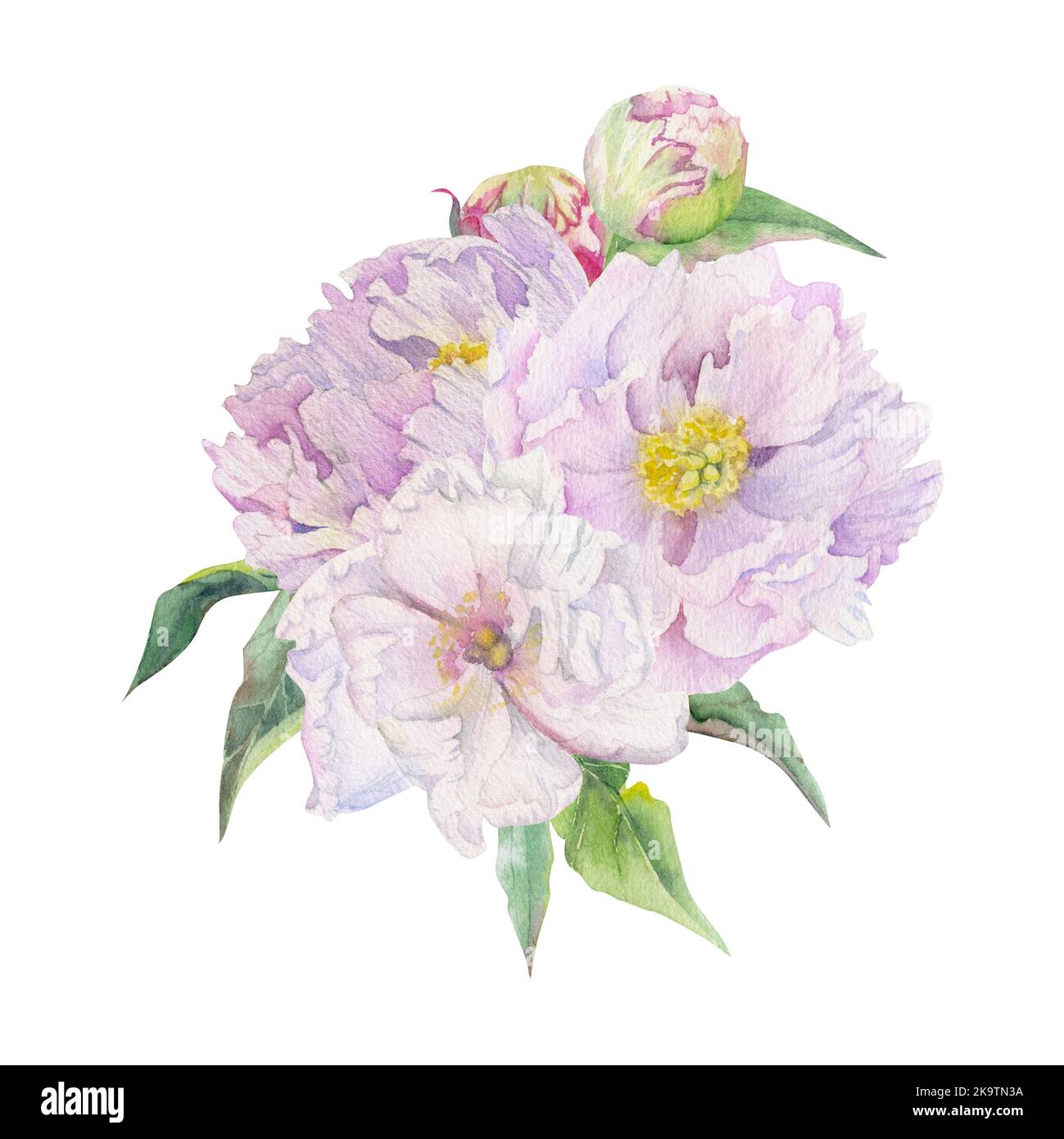 Watercolor bouquet arrangement with hand drawn delicate pink peony ...